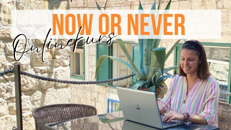 NOW OR NEVER Online-Kurs | Business-Starter Kurs