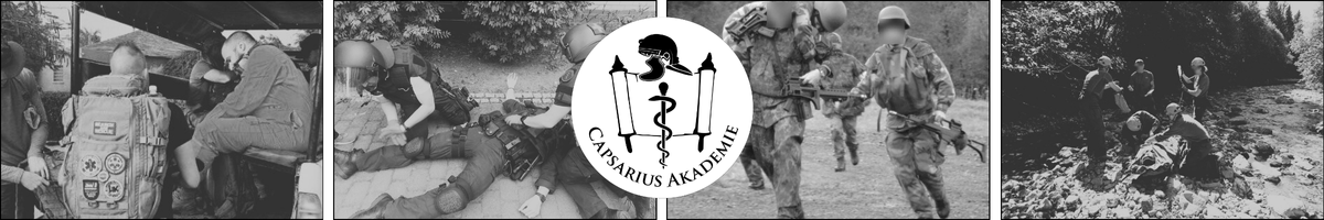 eLearning Capsarius Akademie